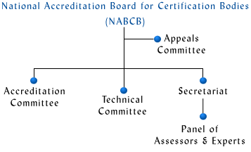 Structure – NABCB